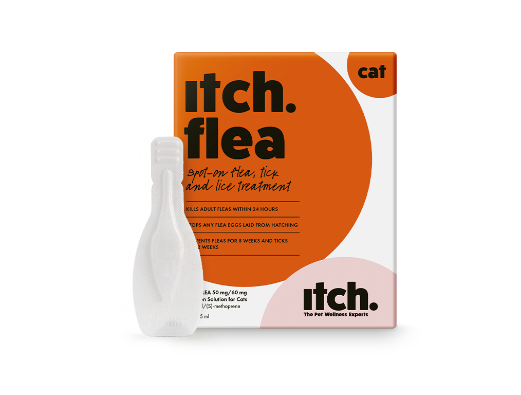 Flea injections for cats and dogs - Itch Pet | Itch Pet
