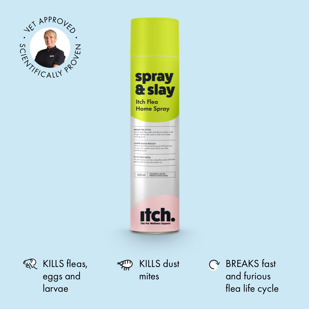 Flea Home Spray | Kills Fleas and Eggs in The House| Itch