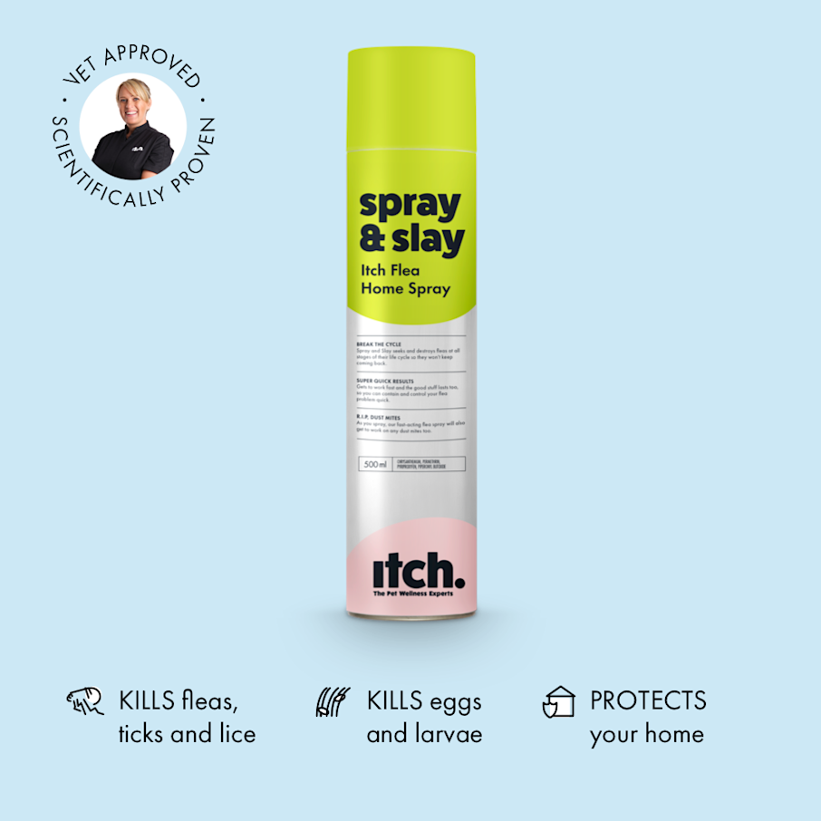 Flea Home Spray | Kills Fleas and Eggs in The House| Itch