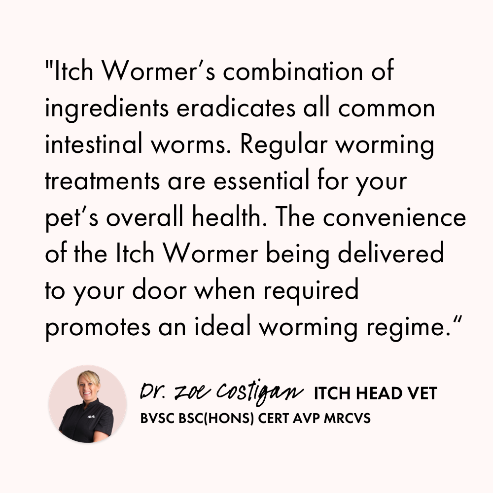 Worming Tablets | Worm Treatment for Cats | Itch