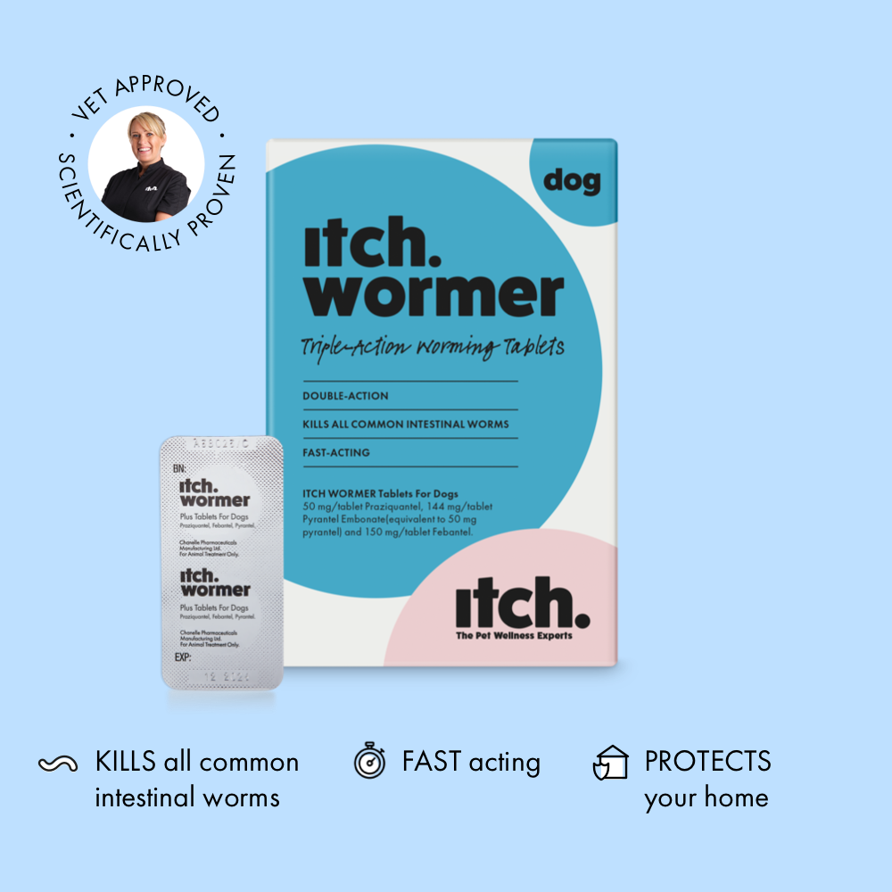 Worming Tablets | Worm Treatment for Dogs | Itch