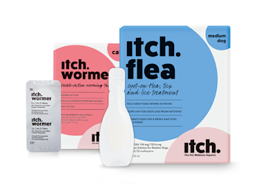 Why is Pet Still Scratching After Applying Flea Treatment? | Itch Pet