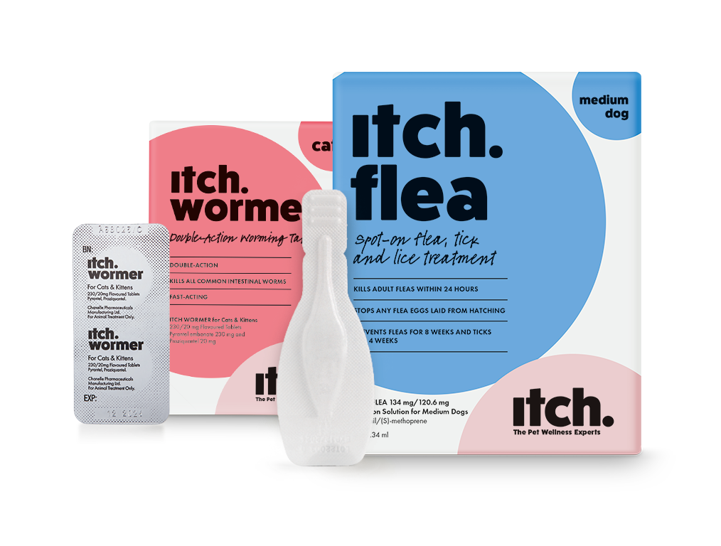 Flea & Wormer Treatment | Subscription for Cats & Dogs | Itch