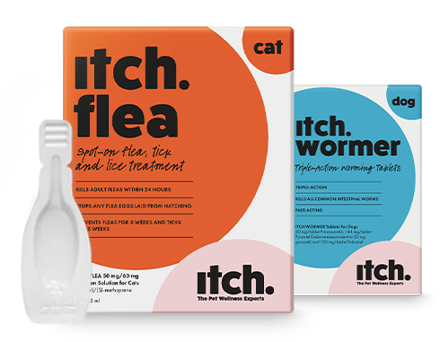 Flea injections for cats and dogs - Itch Pet | Itch Pet