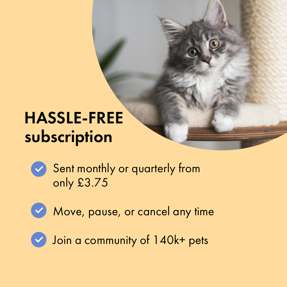 Worming Kittens Advocate Large Cat Flea And Worm Treatment | Buy
