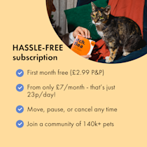 Flea Treatment | Flea Treatment Subscriptions for Cats | Itch