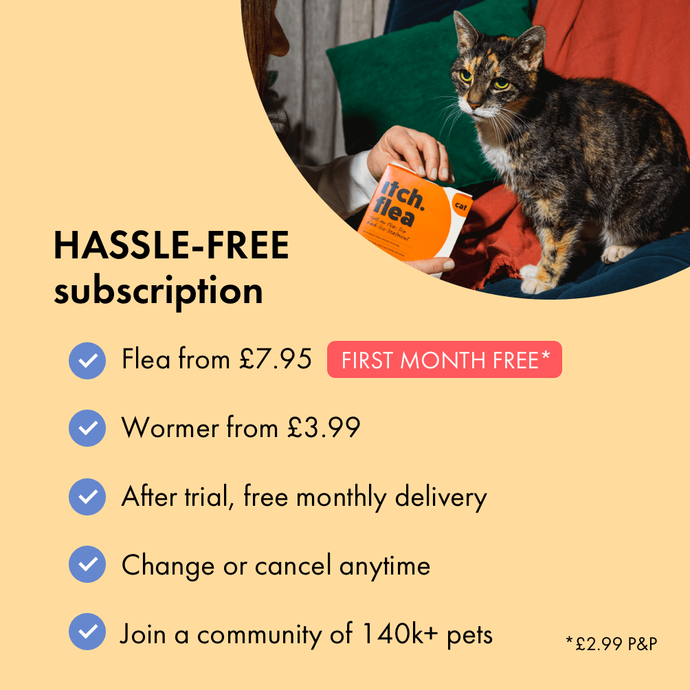 Flea & Wormer Treatment | Subscription for Cats & Dogs | Itch