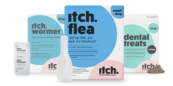 Pet Wellness Products and Treatment Plans | Healthy Pets | Itch