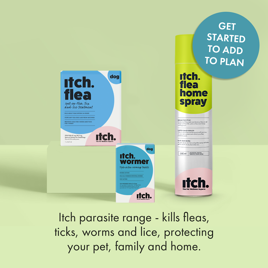 Worming Tablets | Worming Treatment for Dogs | Itch