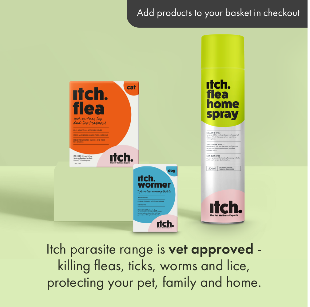 Flea Home Spray | Kills Fleas and Eggs in The House| Itch