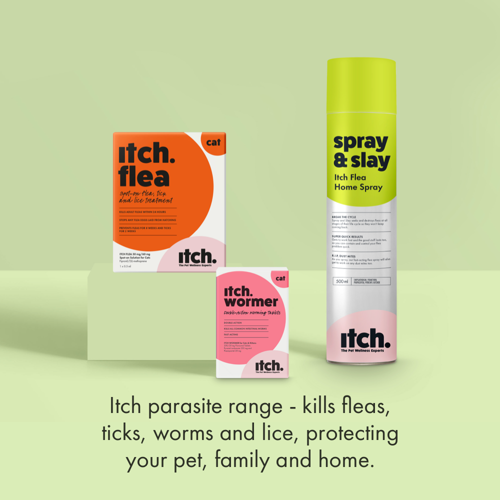 Worming Tablets | Worm Treatment for Cats | Itch