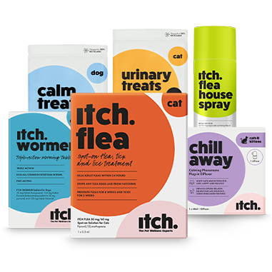 How long does it take to get rid of fleas in your house? - Itch Pet ...