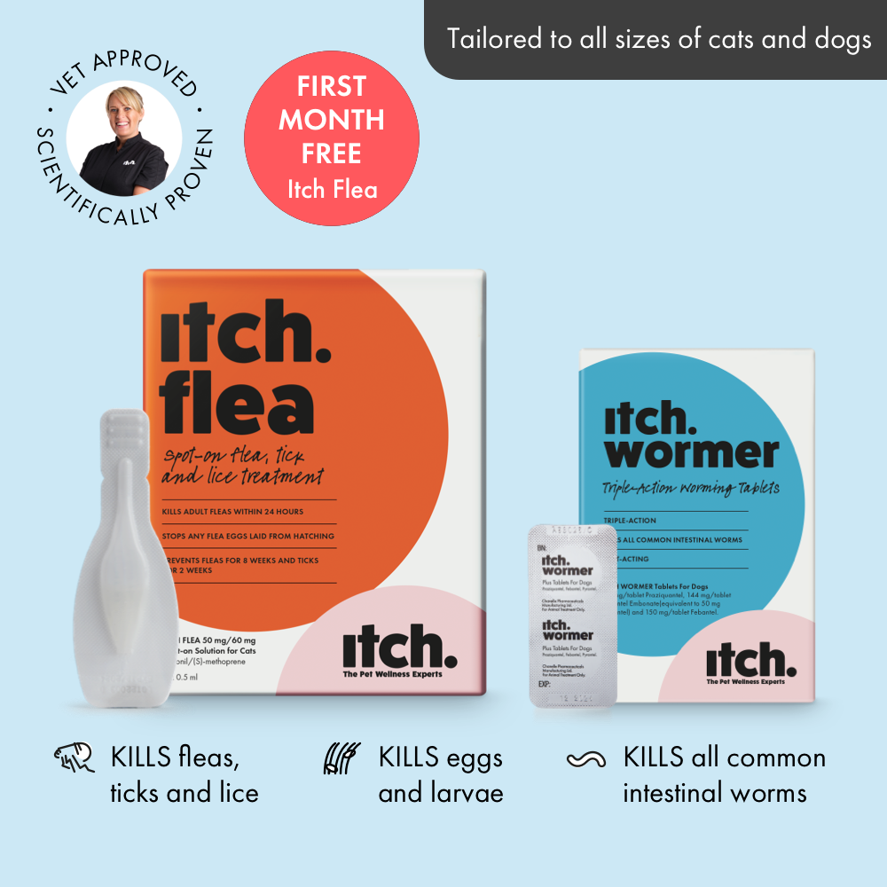 Flea & Wormer Treatment | Subscription for Cats & Dogs | Itch