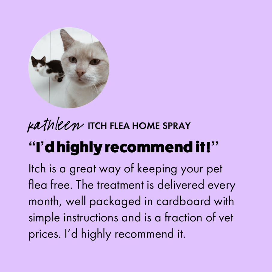 Flea Home Spray | Flea Killer & Protection Spray for Homes| Itch