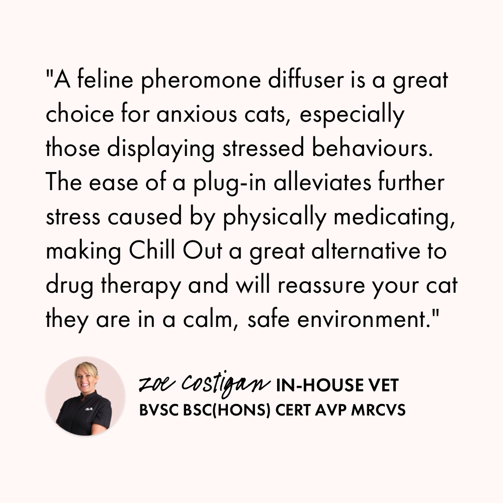 Plug In Cat Calming Pheromone Diffuser | Vet Approved | Itch