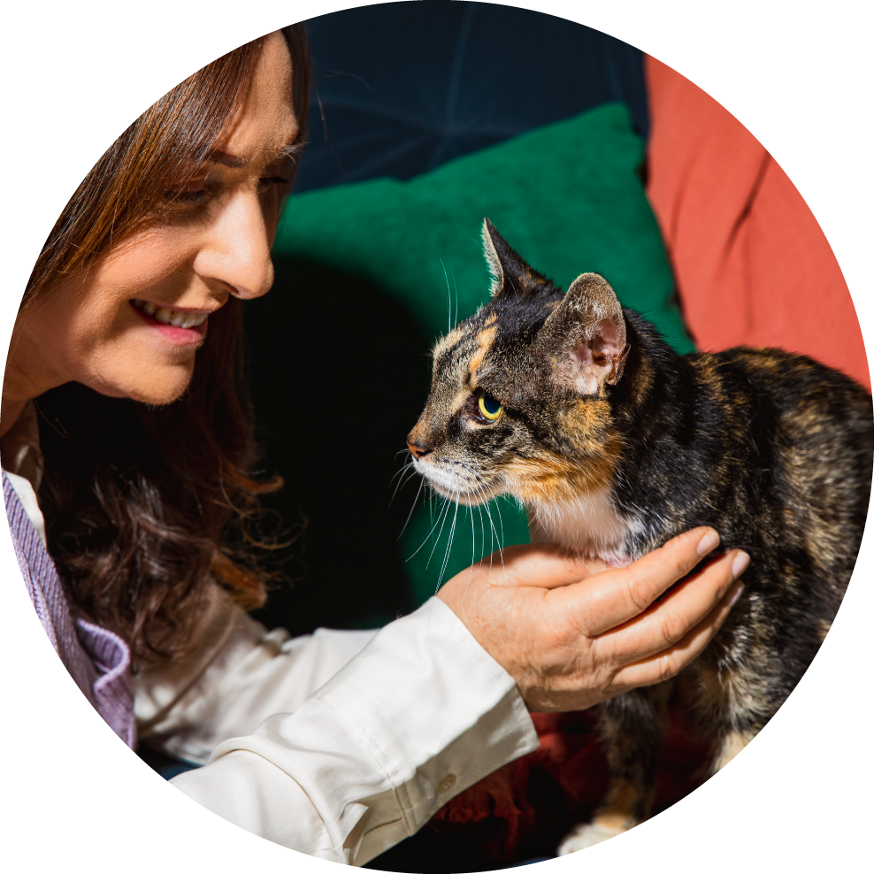 Worming Tablets | Worm Treatment for Cats | Itch