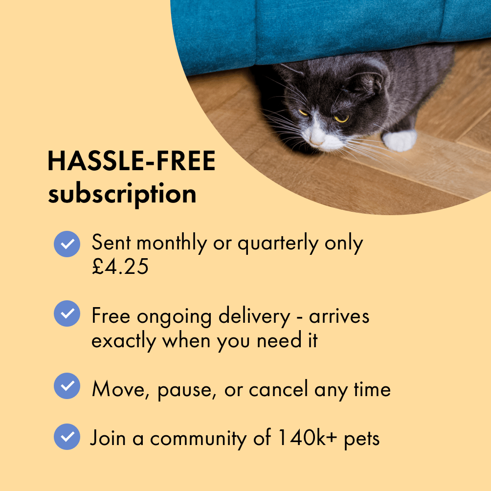 Worming Tablets | Worm Treatment for Cats | Itch