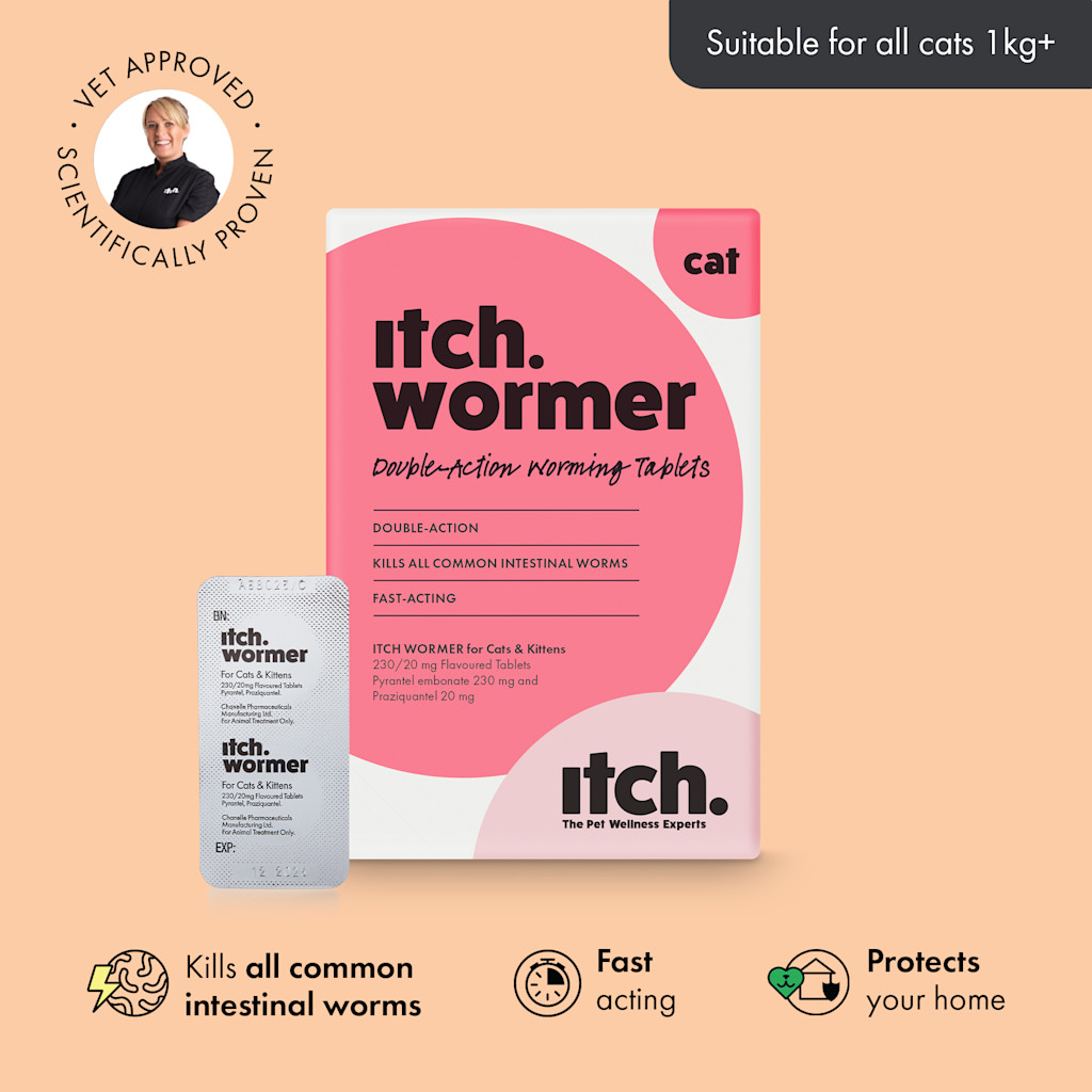 Worming Tablets | Worm Treatment for Cats | Itch