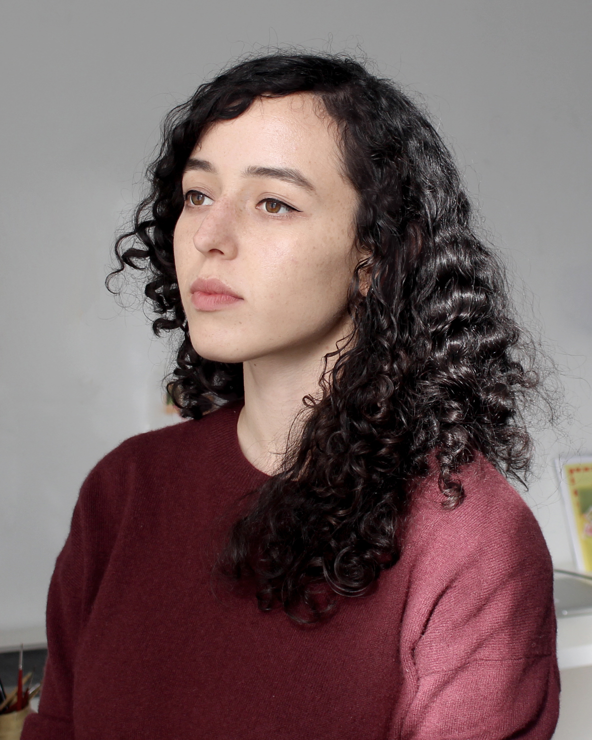 Rachel Ruiz's Instagram, Twitter & Facebook on IDCrawl