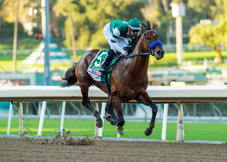 Thoroughbred Horse Racing in Southern California | Santa Anita Park