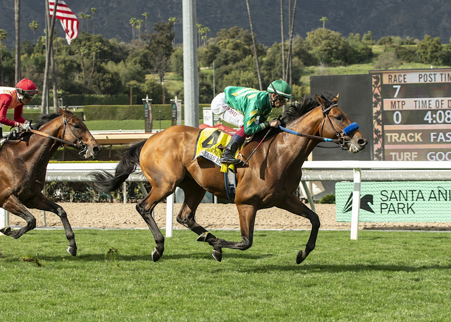 GRADE III, $100,000 SAN LUIS REY STAKES QUOTES | Santa Anita Park
