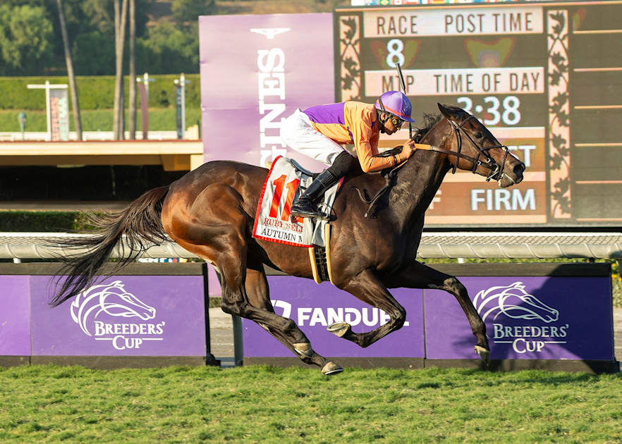Ruby Nell Dominant On The Front-End & Takes Grade III, $100,000 Autumn ...
