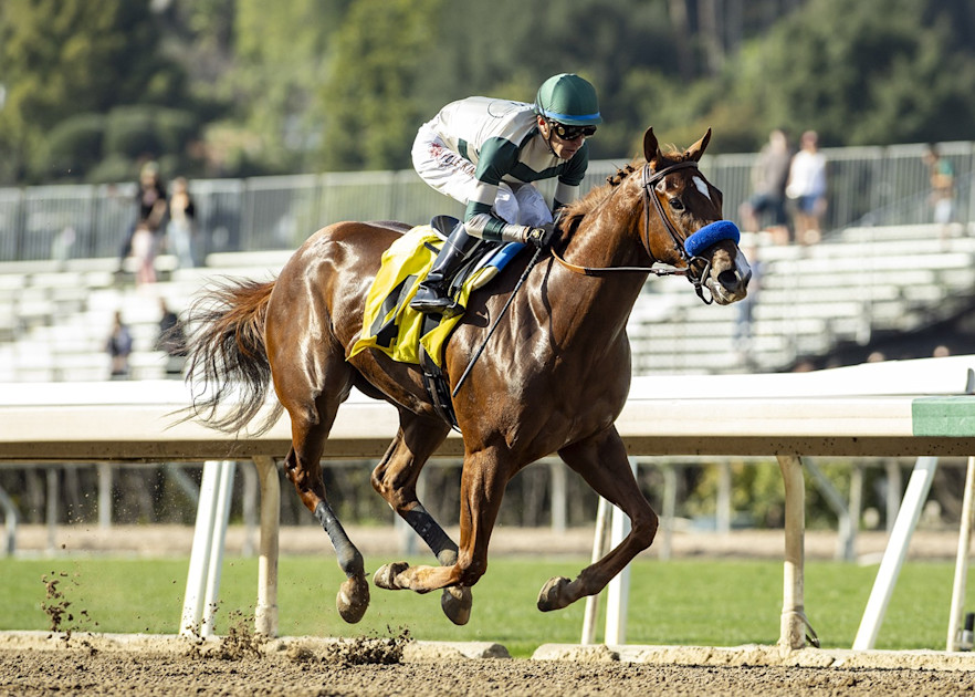 Kinza Puts Undefeated Record On The Line In Saturday's GII, $300,000 ...