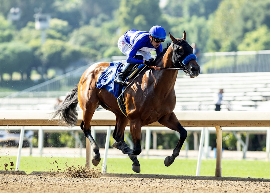 $100,000 AFFIRMED STAKES QUOTES | Santa Anita Park
