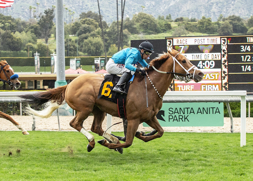 $100,000 SENSATIONAL STAR STAKES QUOTES | Santa Anita Park
