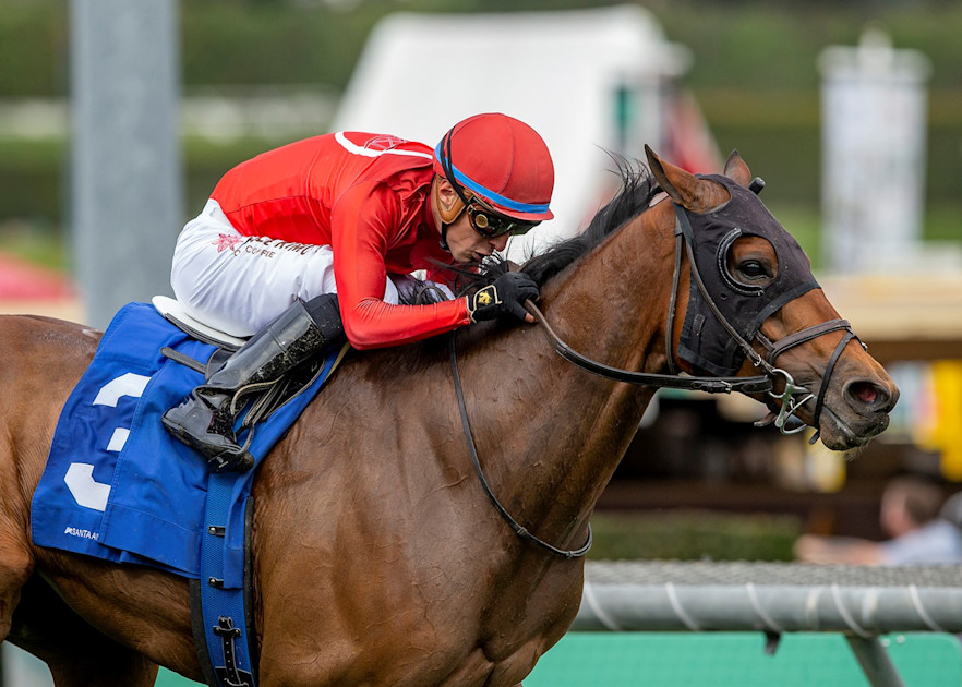 Hard Knocking Dicey Mo Chara Heads Field Of Eight Going A Marathon Mile ...