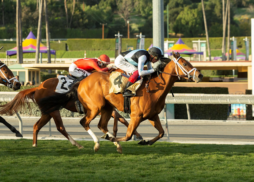 $100,000 Sweet Life Stakes Quotes | Santa Anita Park