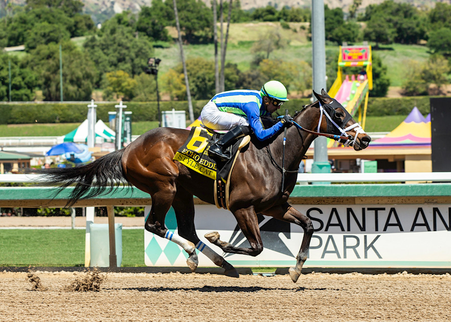 Style Cat Returns To Dirt And Scores In Saturday’s $125,000 Echo Eddie ...