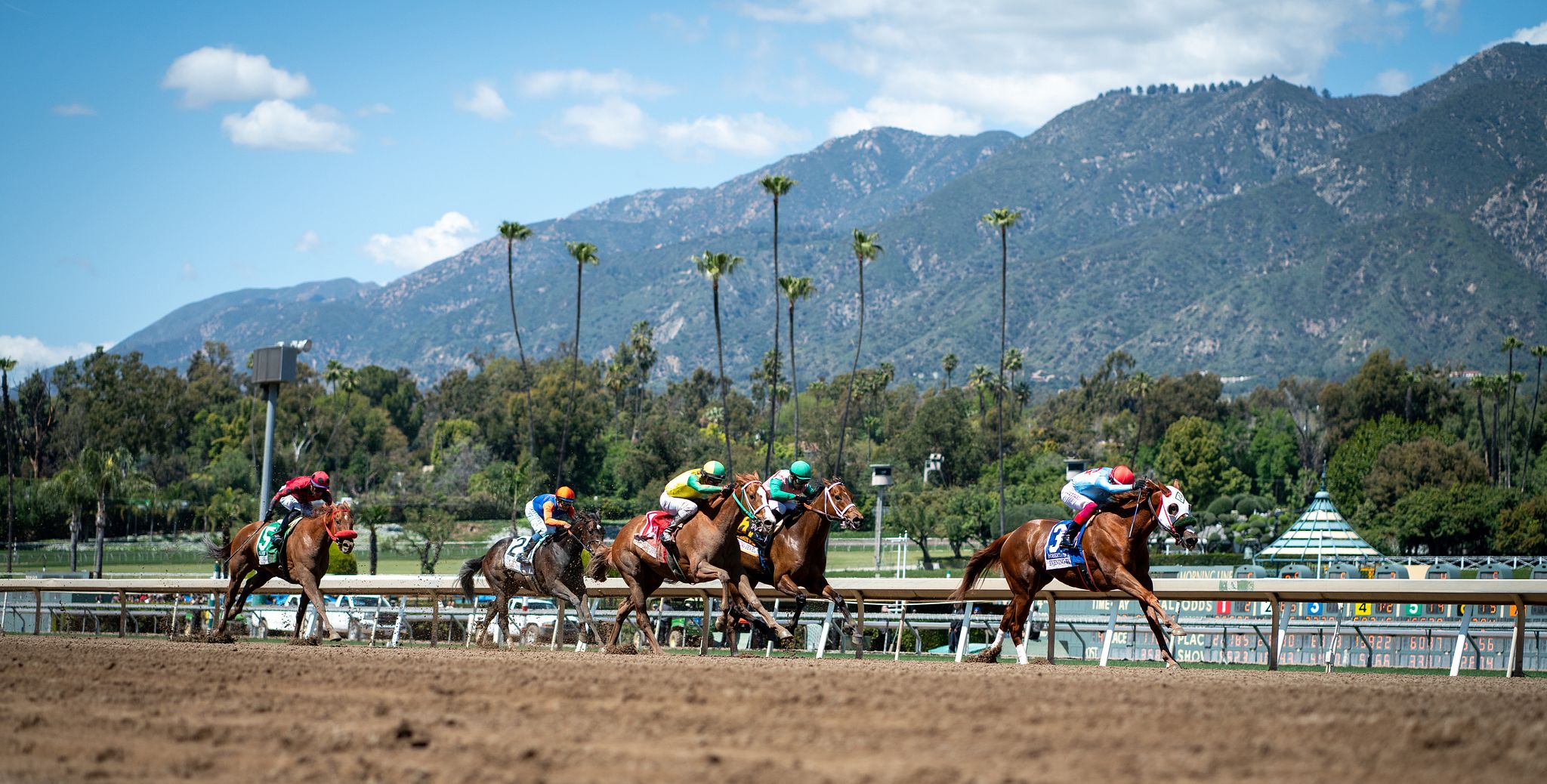 Thoroughbred Horse Racing in Southern California | Santa Anita Park