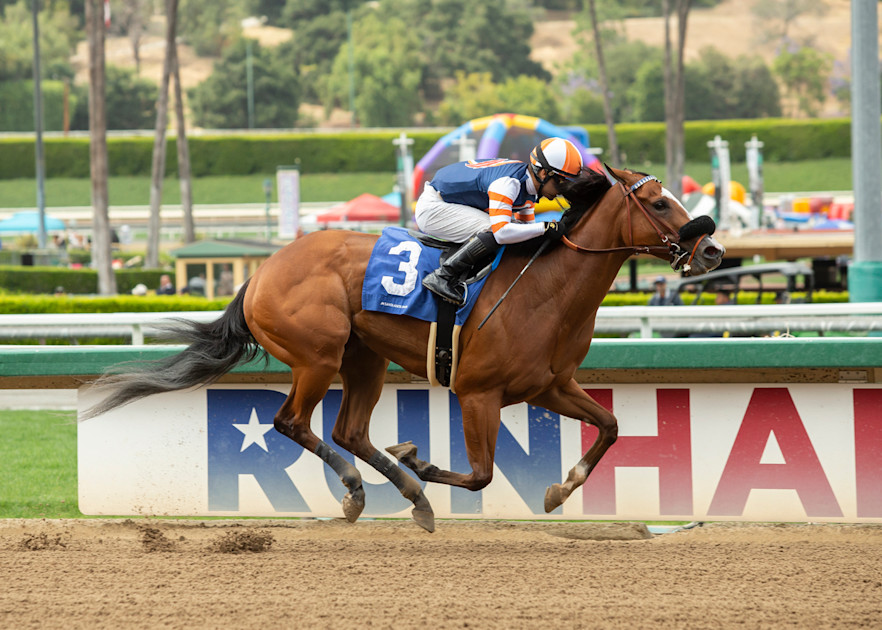Elm Drive Returns To So Cal & Heads Saturday’s Grade III, $100,000 ...