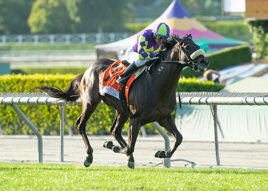 Beyond Brilliant Heads Saturday's Grade II, $200,000 City Of Hope Mile ...