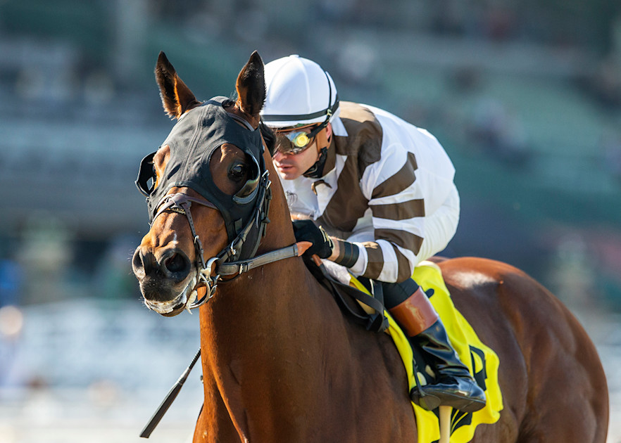 California Cup Day At Santa Anita This Saturday Brings Together The ...