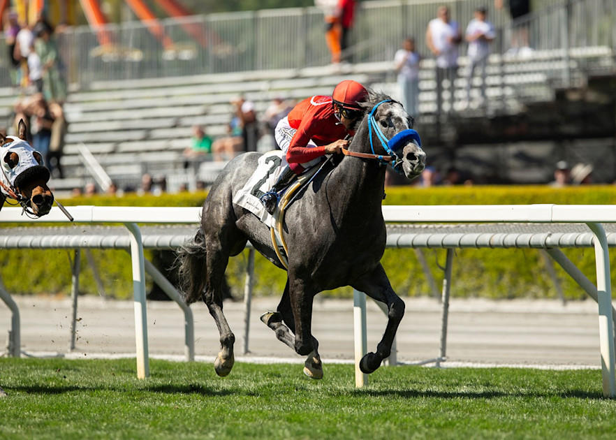 $100,000, JOHN SHEAR STAKES QUOTES | Santa Anita Park