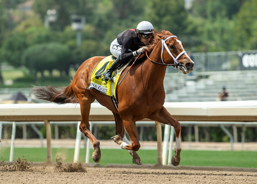 The Chosen Vron Looks To Defend Title In $100,000 Thor’s Echo Stakes ...