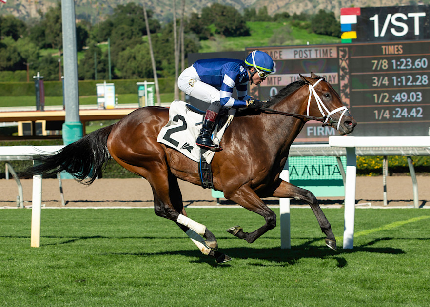 EDDIE LOGAN STAKES QUOTES | Santa Anita Park