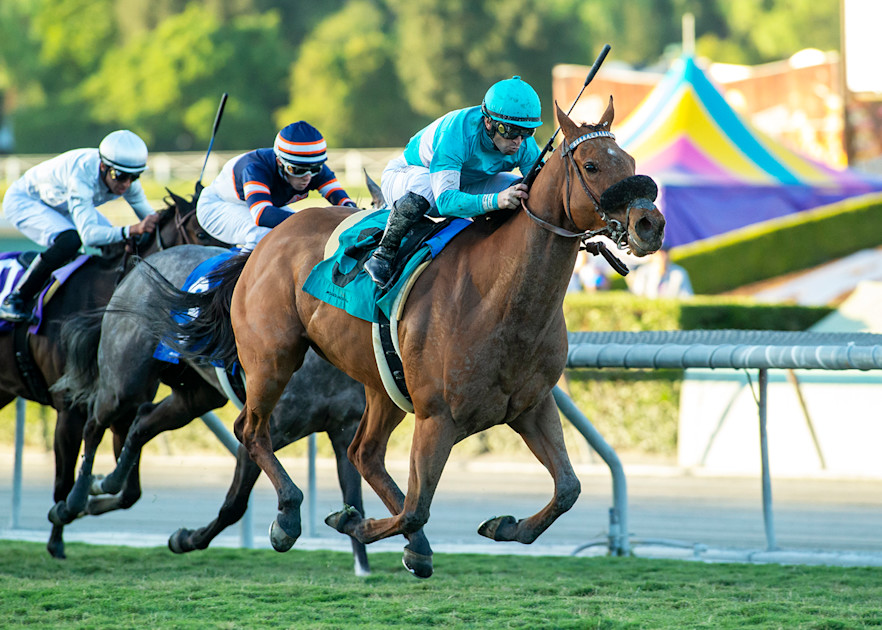 $100,000, SENATOR KEN MADDY STAKES QUOTES | Santa Anita Park