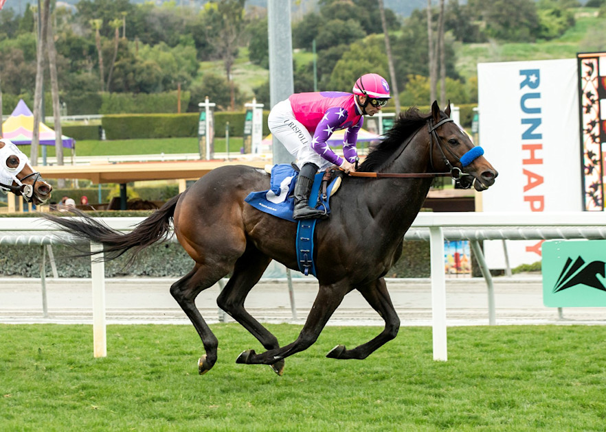 $100,000, BAFFLE STAKES QUOTES | Santa Anita Park