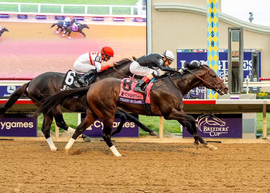 Champion Straight No Chaser Set For Title Defense In Sunday’s Grade II ...