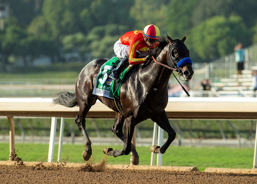Cave Rock Nothing Short Of Sensational As He Takes Grade I, $300,000 ...
