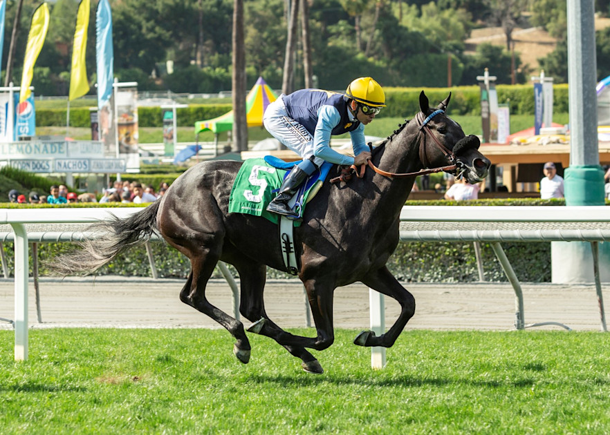 Connie Swingle Remains Unbeaten At Santa Anita As She Takes $85,000 ...