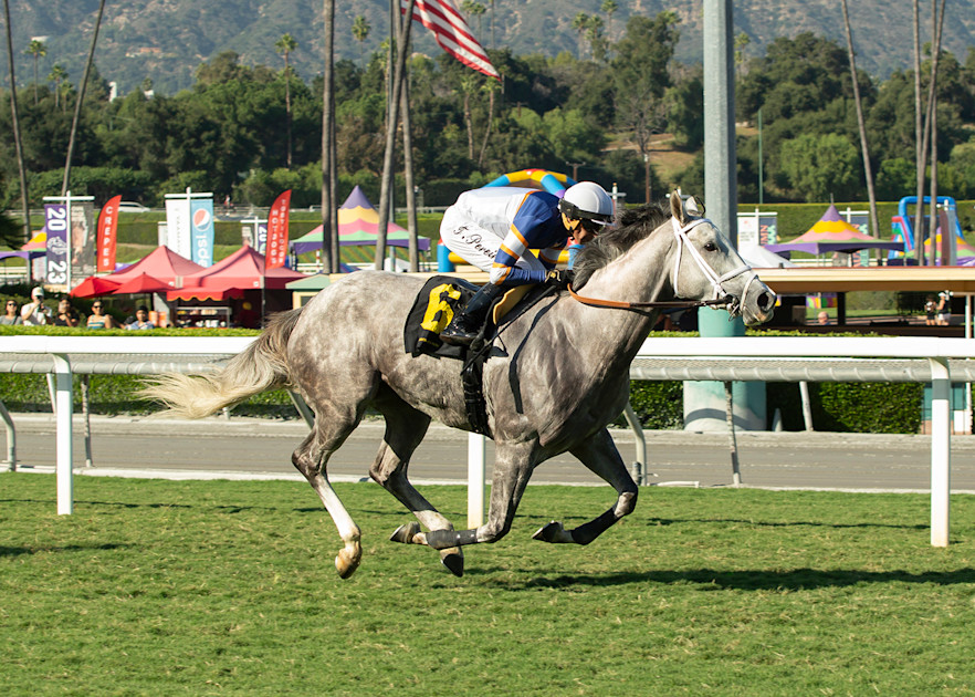 Alexander Hoping Saturday’s $150,000 Sunshine Millions Filly & Mare ...