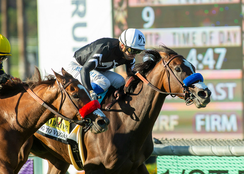 Kentucky-Based Family Way Rates Top Billing In Saturday’s Grade I ...