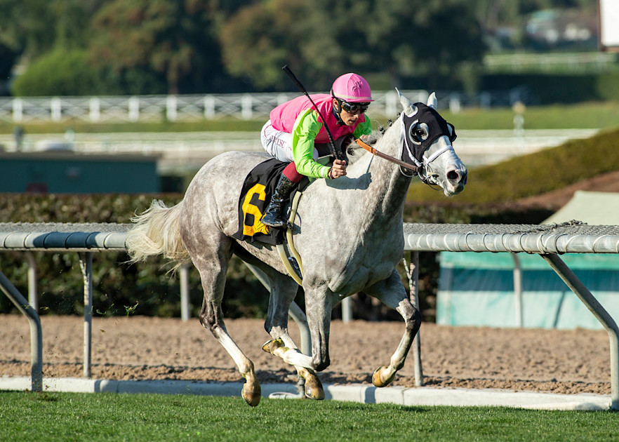Shocking Grey Springs Upset Under Fresu In Saturday’s $125,000 Sunshine ...