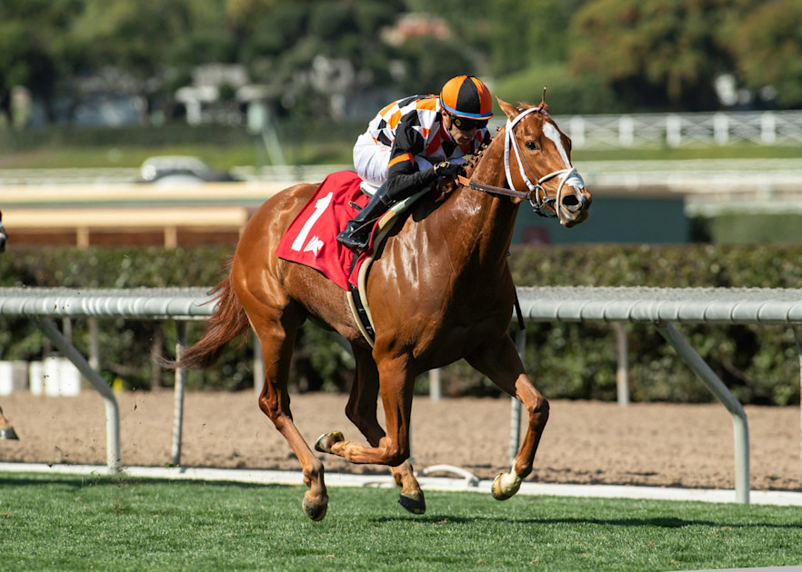 Streaking Queen Maxima Shoot For Consecutive Stakes Wins In Saturday’s ...
