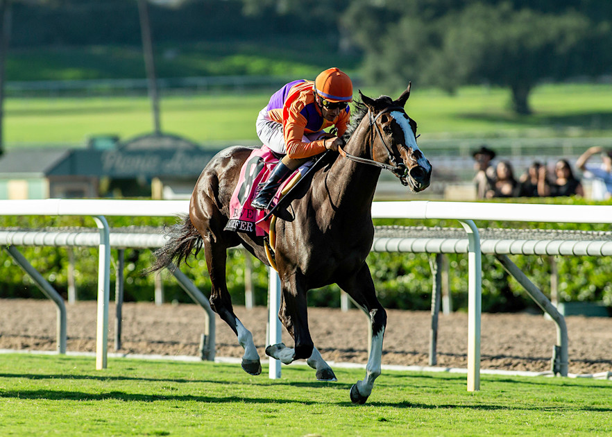 Spendthrift Homebred Brave Deb Moves To 2-For-2 And Bags 1st Stakes Win ...