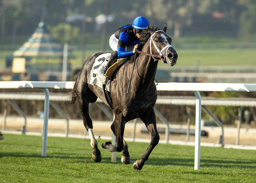 $100,000 EDDIE LOGAN STAKES QUOTES | Santa Anita Park